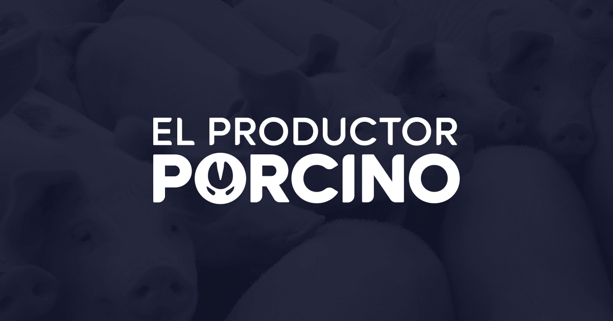 El Productor Porcino | Mercados